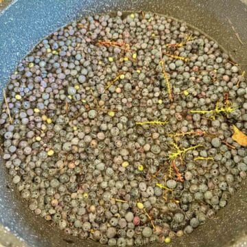 Oregon Grape Jelly | montanahomesteadharvest.com