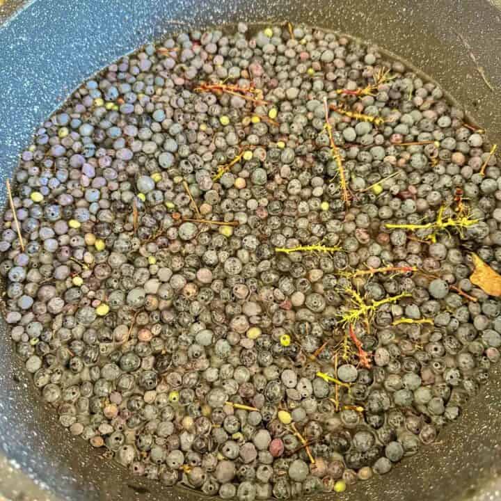 Oregon Grape Jelly | montanahomesteadharvest.com