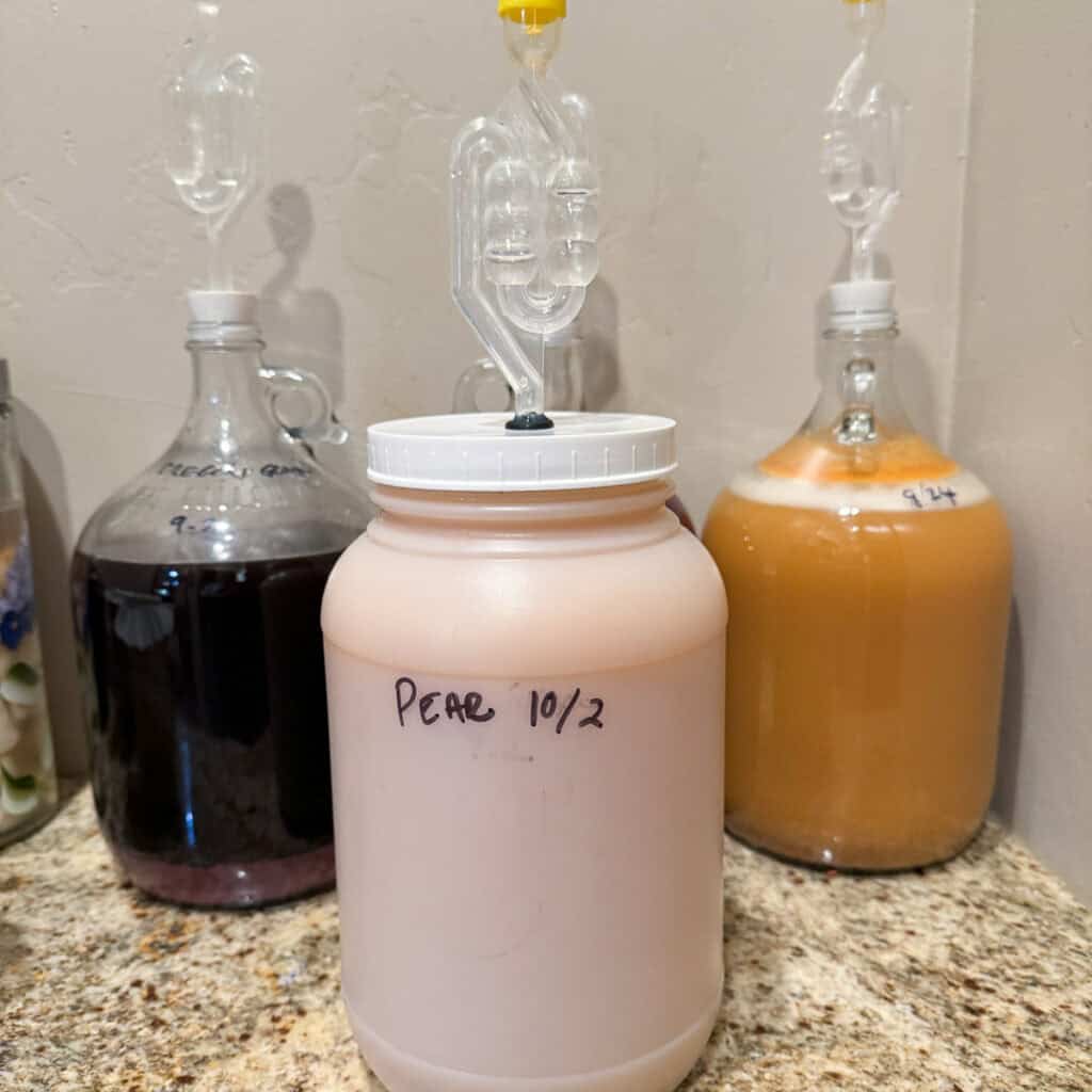 Amazing Homemade Pear Wine | montanahomesteadharvest.com