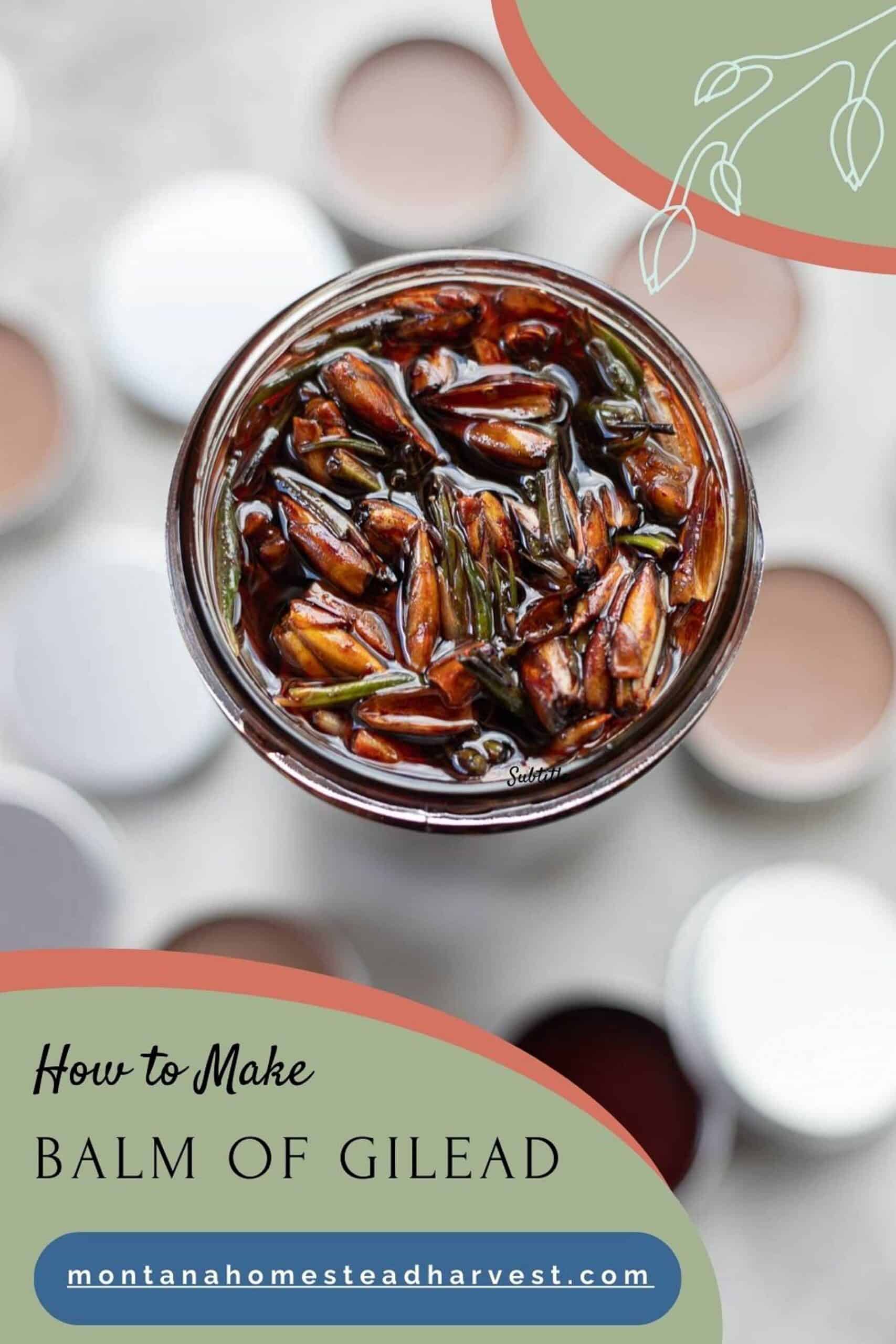 How to Make Balm of Gilead | montanahomesteadharvest.com