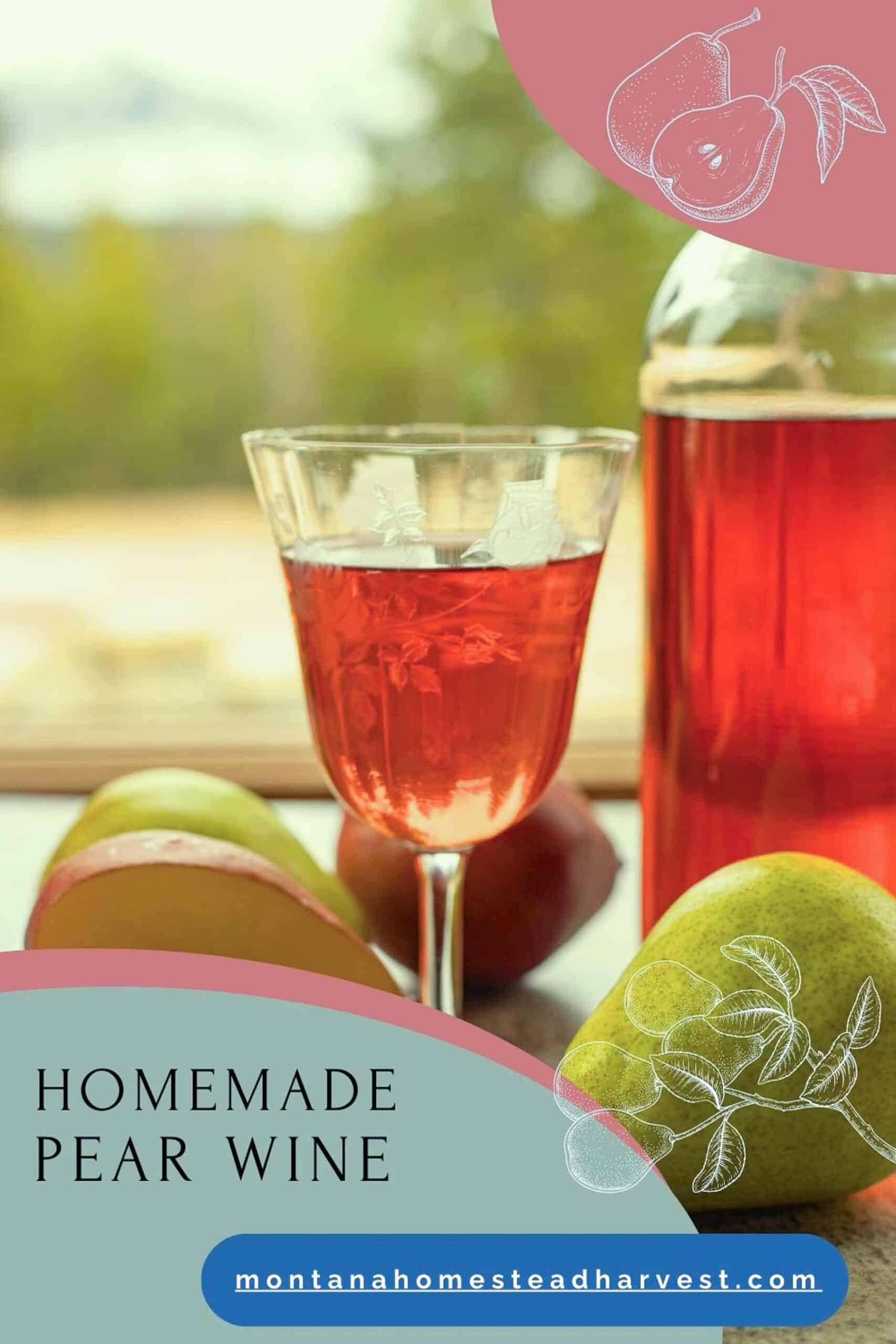 Amazing Homemade Pear Wine | montanahomesteadharvest.com