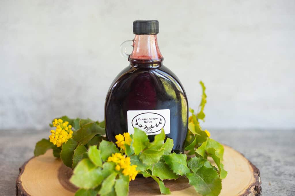 Oregon Grape Syrup Recipe | montanahomesteadharvest.com