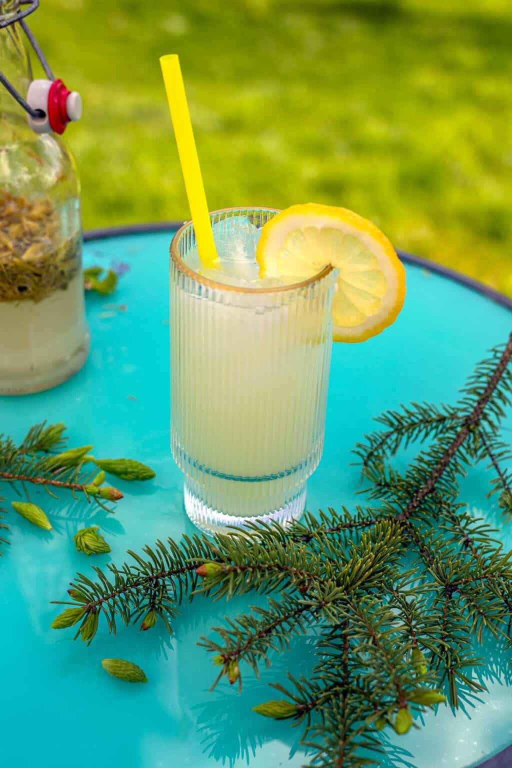 Spruce Up Your Pine Needle Soda with These Wild Tips ...
