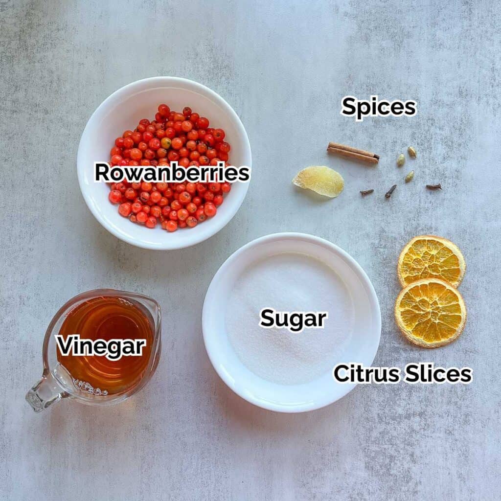 Rowanberries: How to Forage and Use Them | montanahomesteadharvest.com