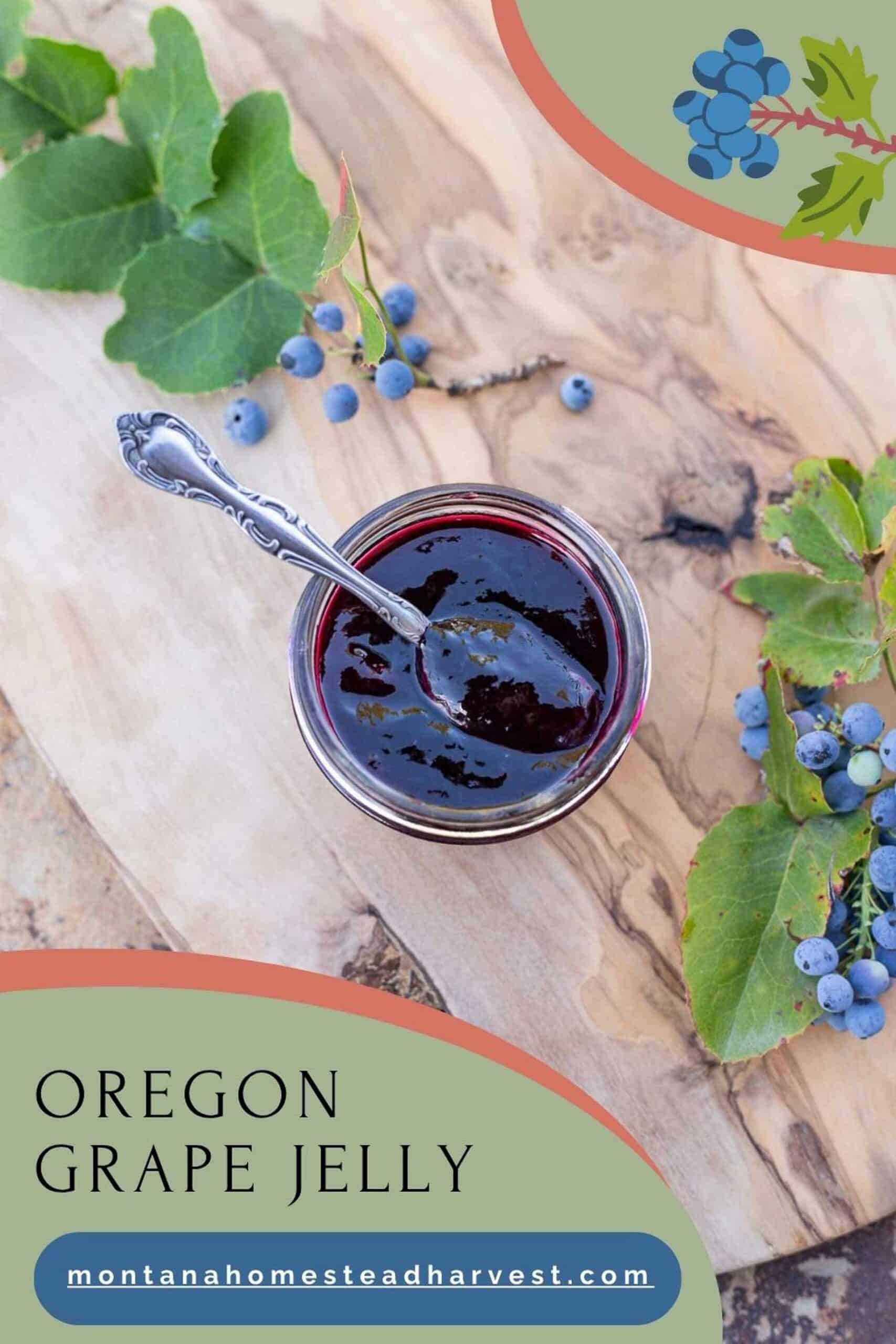 Oregon Grape Jelly | montanahomesteadharvest.com