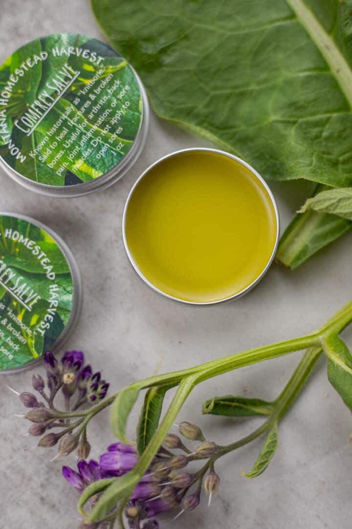 How to Make Comfrey Salve | montanahomesteadharvest.com