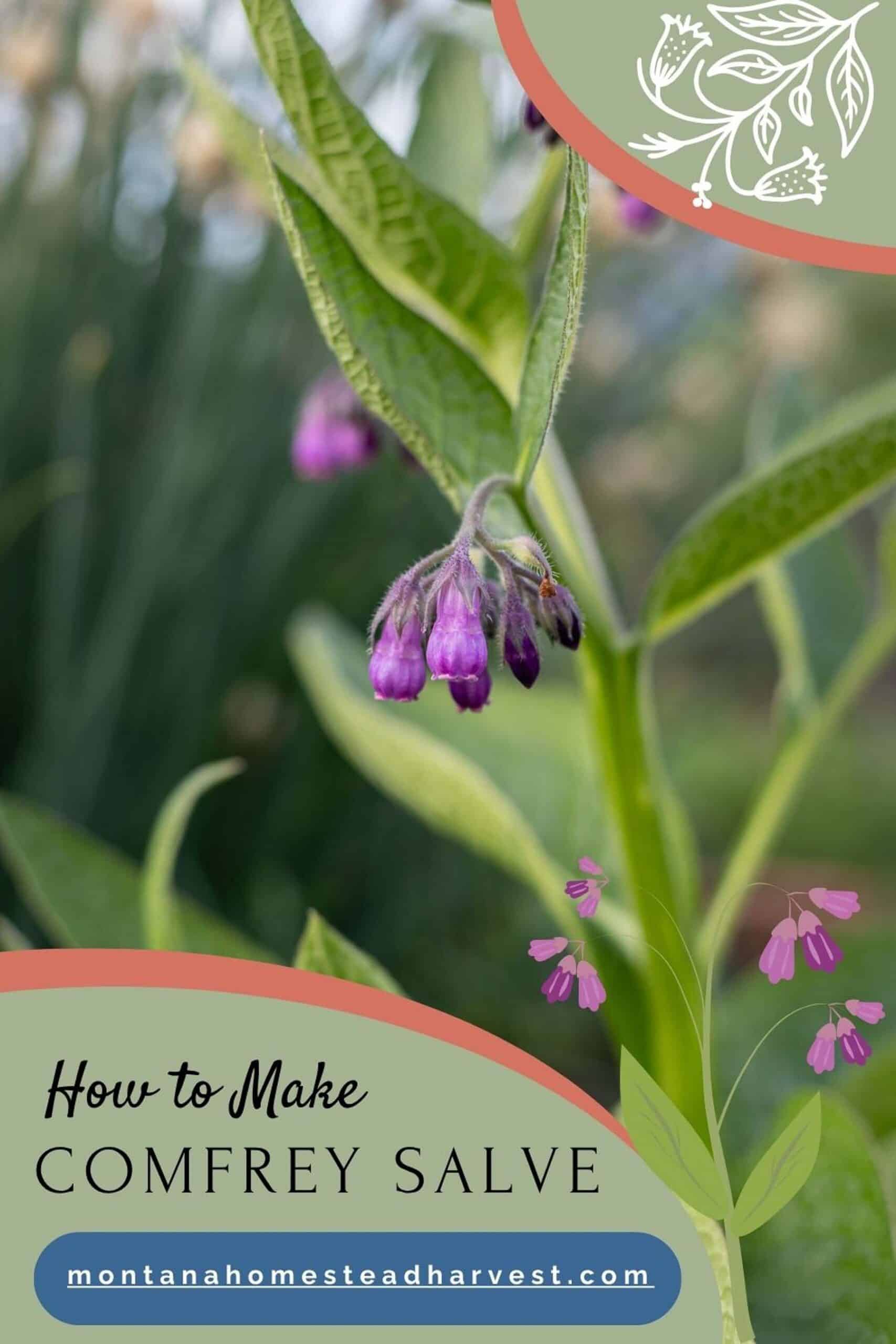 How to Make Comfrey Salve | montanahomesteadharvest.com