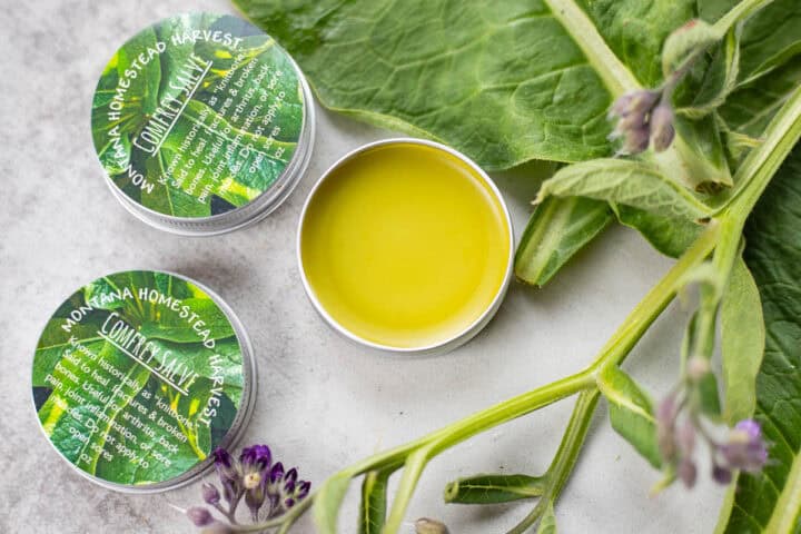 How to Make Comfrey Salve | montanahomesteadharvest.com