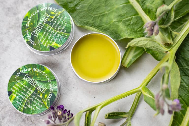 How to Make Comfrey Salve | montanahomesteadharvest.com