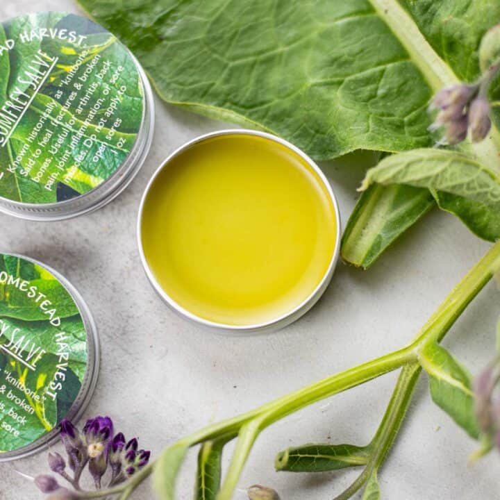 How to Make Comfrey Salve | montanahomesteadharvest.com