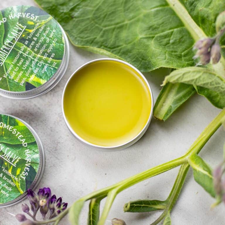 How to Make Comfrey Salve | montanahomesteadharvest.com