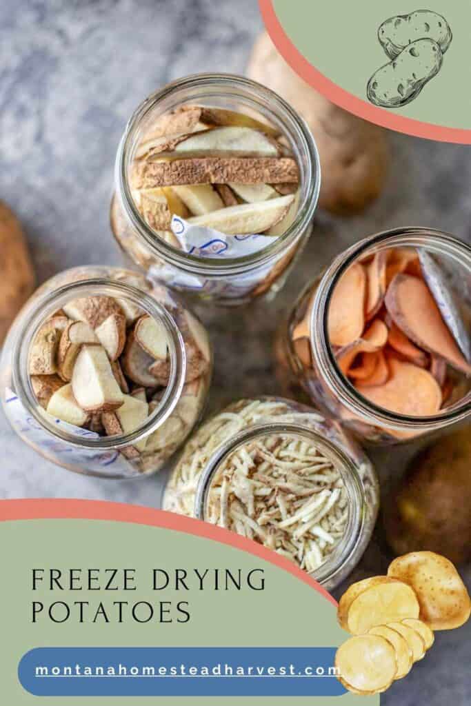 Freeze Drying Potatoes: A Complete Guide | montanahomesteadharvest.com