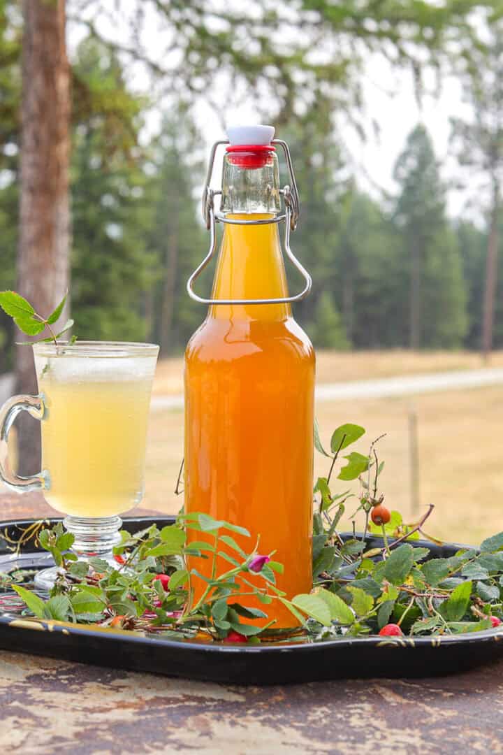 Mugolio (Pinecone Syrup): What It Is & How to Use It ...