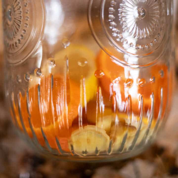 Easy Switchel Recipe (Haymaker’s Punch) | montanahomesteadharvest.com