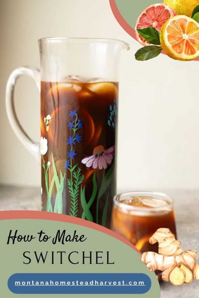 Easy Switchel Recipe (Haymaker’s Punch) | montanahomesteadharvest.com
