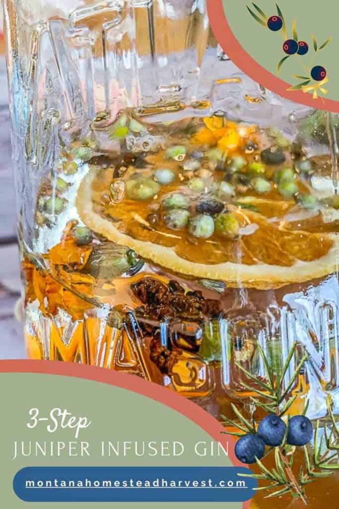 3-Step Juniper Berry Infused Gin | montanahomesteadharvest.com
