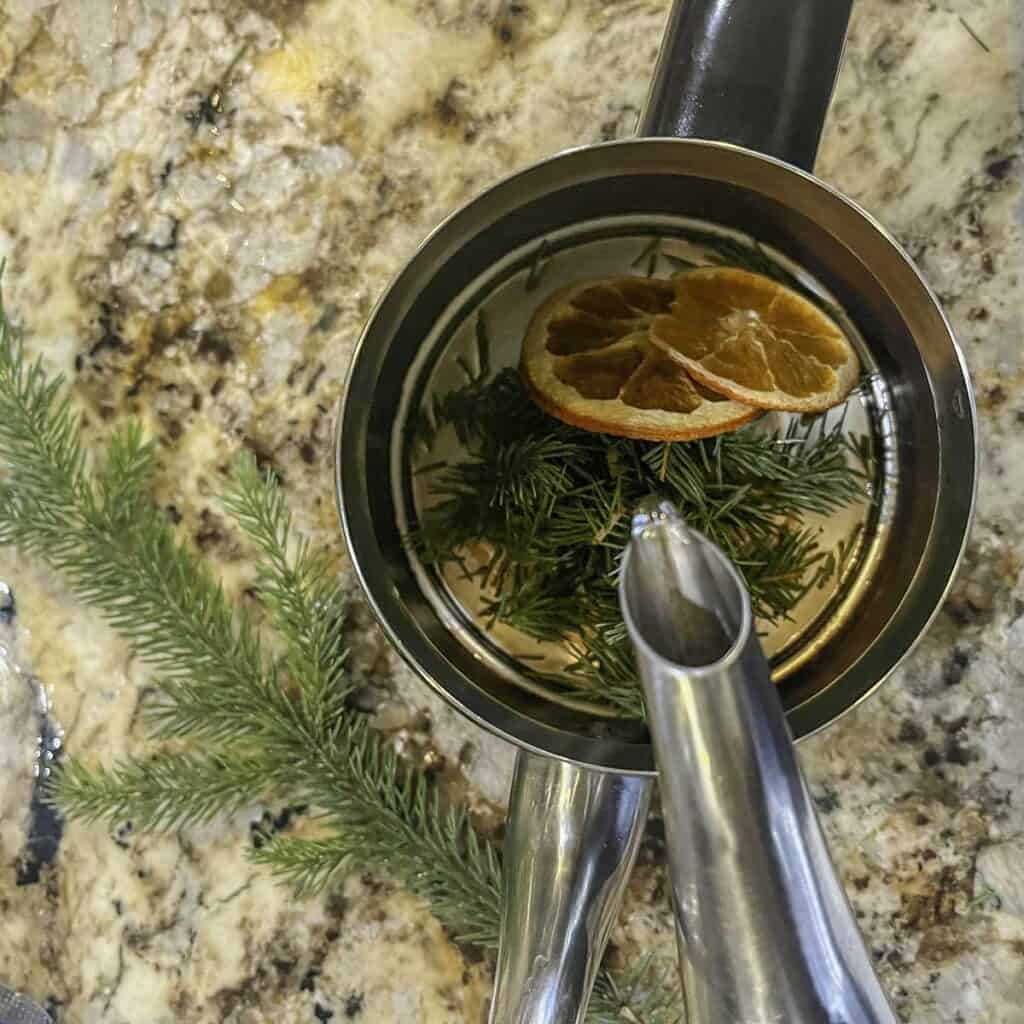 Foraged Pine Needle Tea: Benefits, Safety, and How to Make It ...