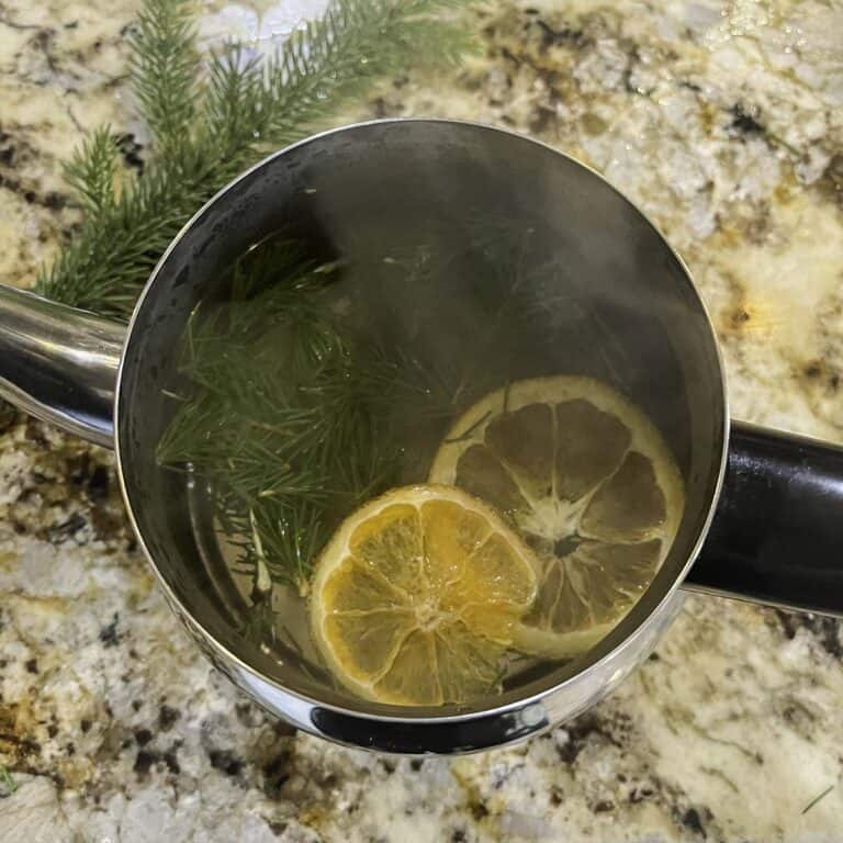 Foraged Pine Needle Tea: Benefits, Safety, and How to Make It ...