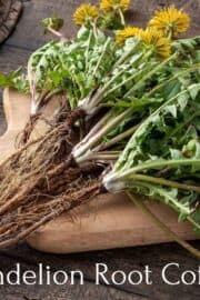 Easy Switchel Recipe (Haymaker’s Punch) | montanahomesteadharvest.com